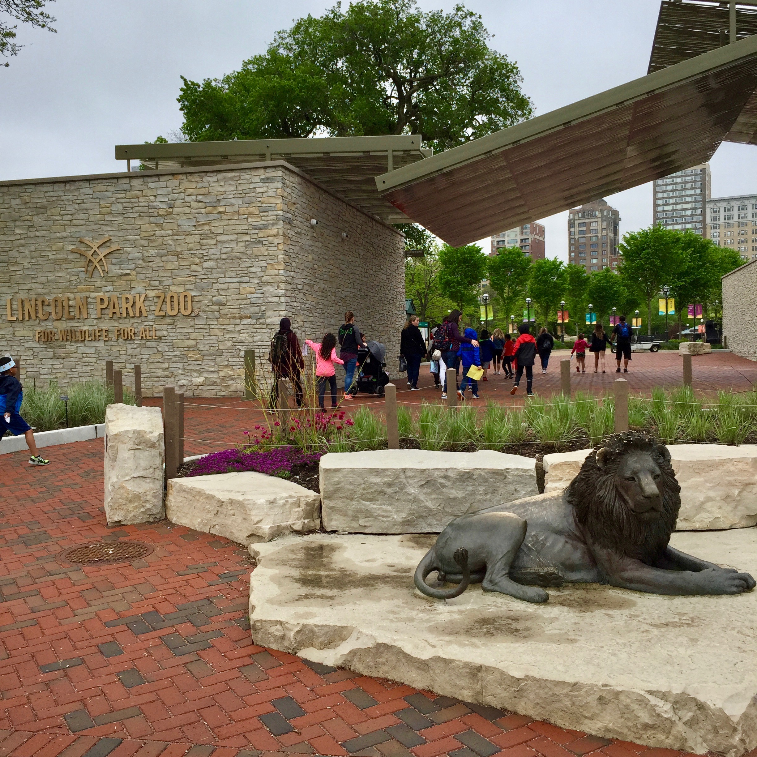 Lincoln Park Zoo – Amanda Markel