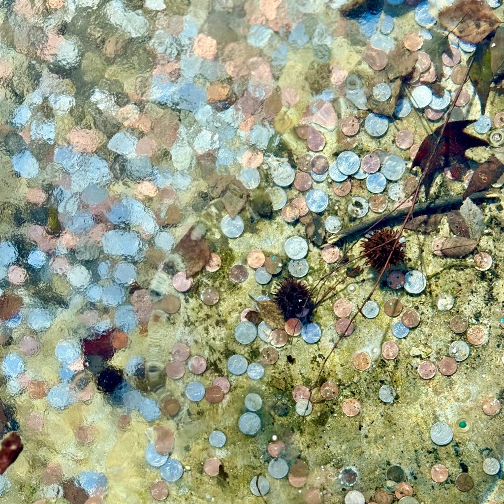 Coins Under Water and Ice – Amanda Markel