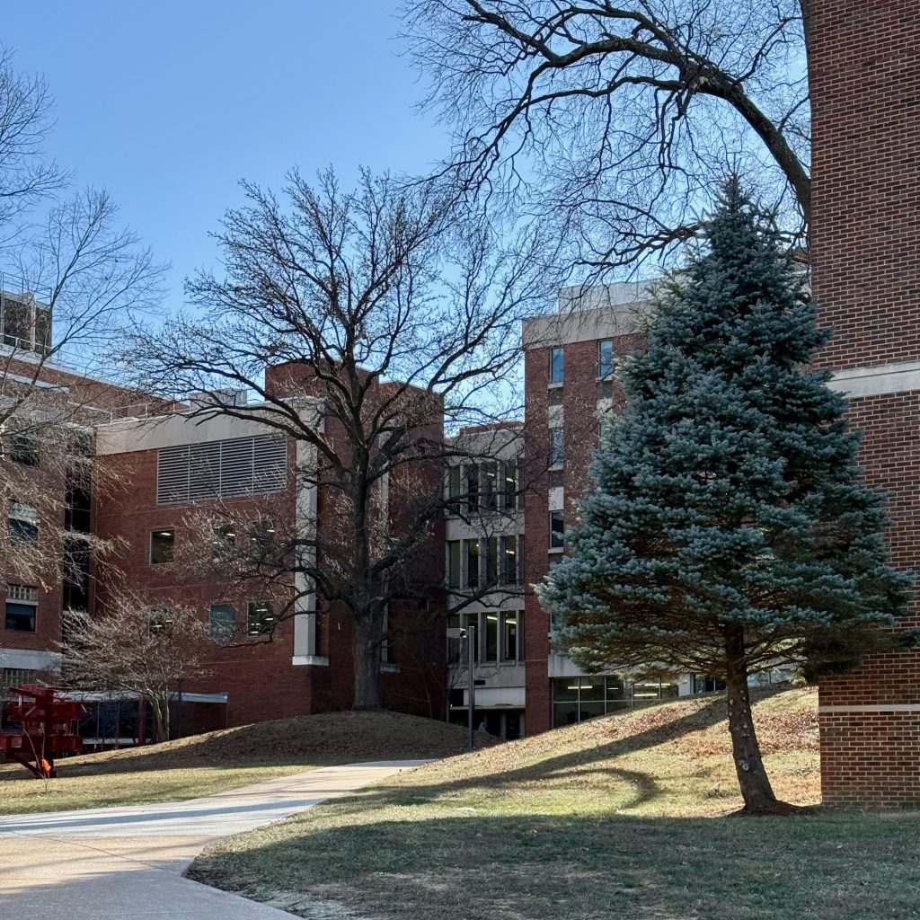 Triton Tuesday – Amanda Markel